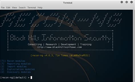 With Recon Ng Its Called Investigating Not Stalking Digitalized Warfare