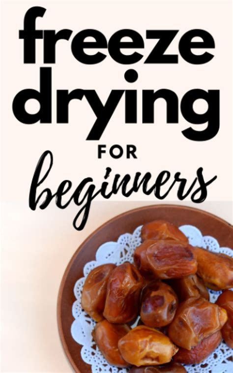 Freeze Drying For Beginners A Comprehensive Guide To Freeze Drying For Beginners The Process