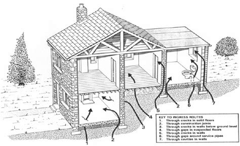 1 Pathways Of Indoor Radon Download Scientific Diagram