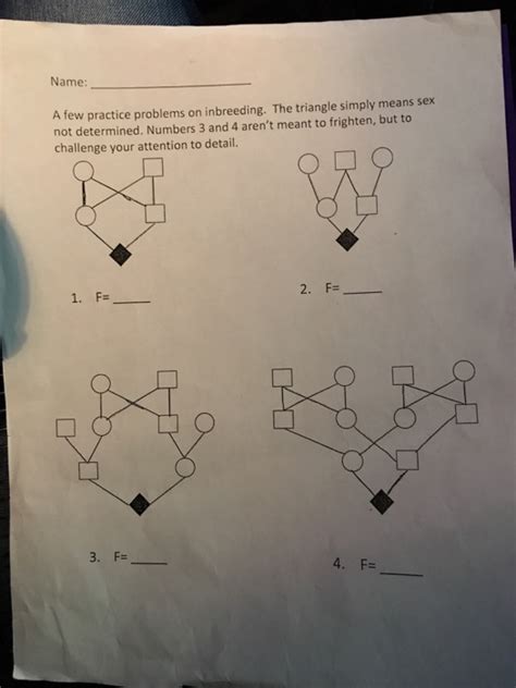 Name A Few Practice Problems On Inbreeding The Chegg Com