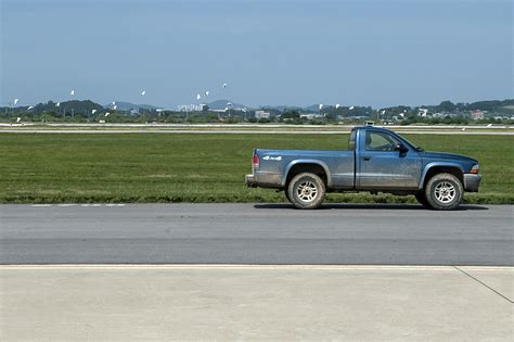 Bash Program Keeps Birds Off Airfield Osan Air Base Article Display