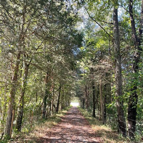 If You Think This Is Just A Fatloss Drink I Need To Talk To You Ready To Age Backwards 😃 By