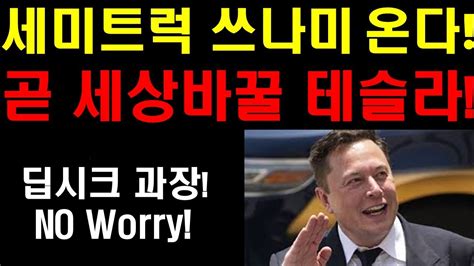 세미트럭 쓰나미가 온다 곧 세상을 바꿀 테슬라 올해 테슬라 미친듯 오른다 머스크에 투자 할수 밖에 없는 그의 과업 앞으로