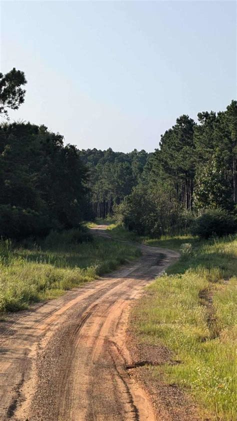 Mission Tejas Cut Through Texas Gps Trail Map Conditions