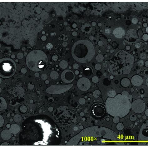 Sem Image Of Geopolymer Microstructure Sem Image Of Geopolymer