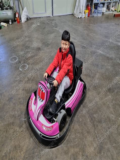 어린이 전동차 전동카 배터리카 고카트 전동카트 기타 스포츠 중고나라