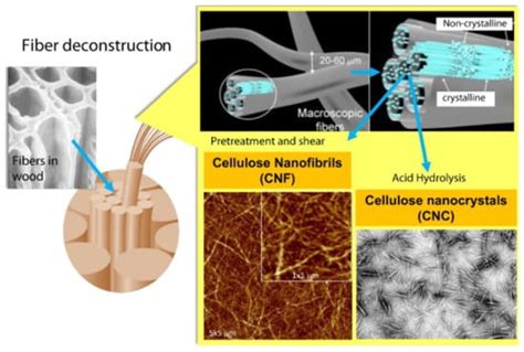 Nanomaterials Special Issue Emerging Applications Of Cellulose Nanocrystal And Its Composites