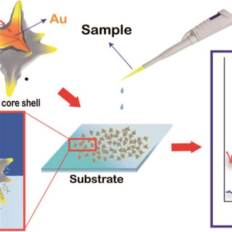 Preparation Of Auns Ag Substrate With Controlled Seed Growth Method And Download Scientific