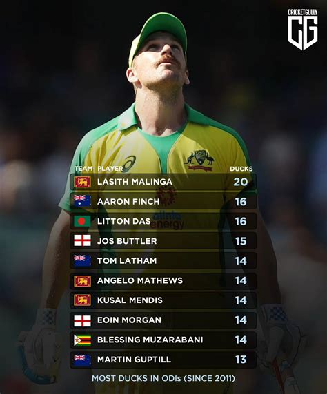 Cricketgully Cricketgully Added A New Photo