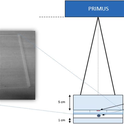 Individual Sensitivity Correction Factor For All Forty Download