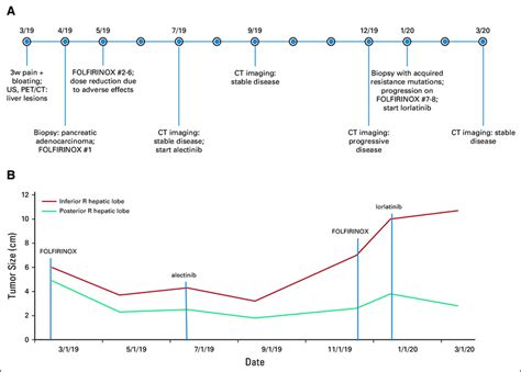 A Chronologic Timeline Of Events Including Dates Of Initiation Of Download Scientific Diagram