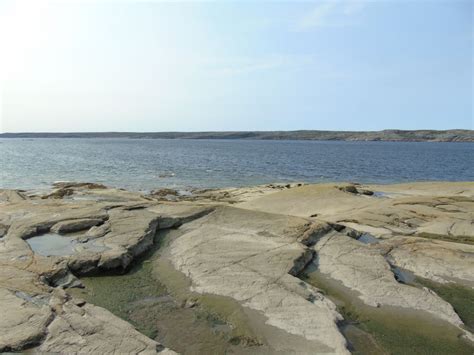 La Baie Dungava Nature Québec