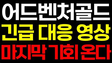 어드벤처골드 코인전망 긴급 대응 영상 지금이 마지막 기회 어드벤처골드코인 상승 모멘텀 완벽 분석 Youtube