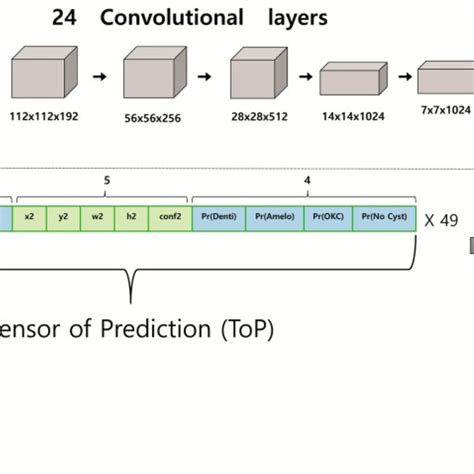 Schematic Diagram Of You Only Look Once Yolo Based Computer Assisted Download Scientific