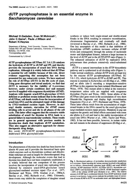 Pdf Dutp Pyrophosphatase Is An Essential Enzyme In