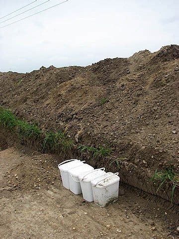 Soil Testing Unlock The Secret To Making Your Garden Thrive