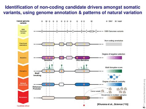 Overview Ppt Download