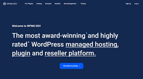 Wpmu Dev Hosting Review A Comprehensive Look At Performance Features