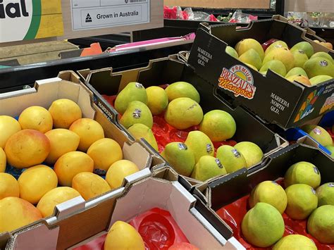 망고 먹으러 동남아 말고 호주로 오세요