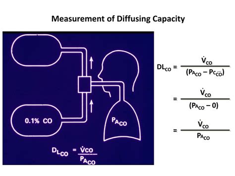 Ppt Gas Diffusion In The Respiratory System Powerpoint Presentation