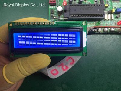 16X4 FSTN Stn COB LCD Display Module China LCD Screen Module LCD And Character Module LCD Price