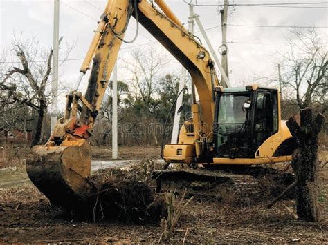 Excavator Uprooting Trees In Clearing Land From Old Trees Roots And