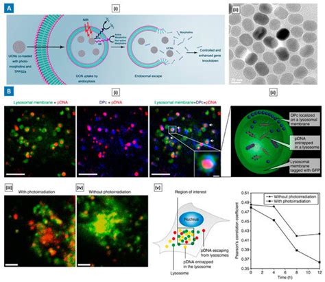 Achieving Endolysosomal Escape Using Smart Nanosystems For Efficient
