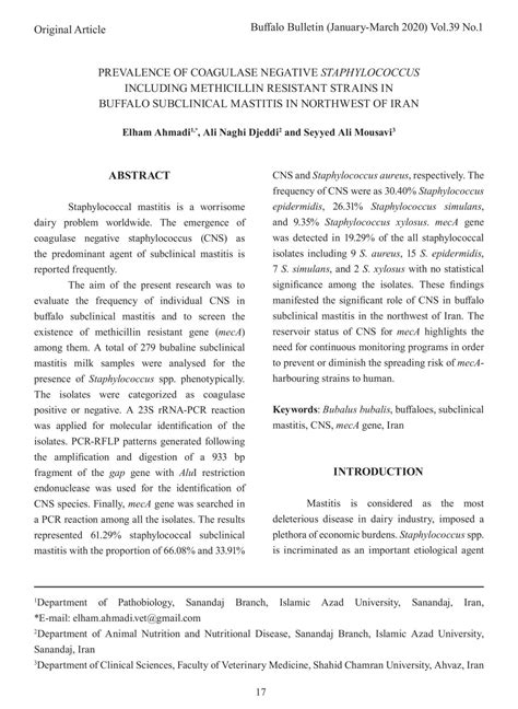 Seyed Ali Mousavi Rad On Linkedin Text One Of The Most Pressing Issues