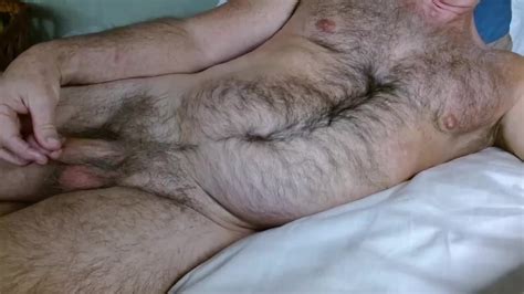 Daddy Bear Cums Thisvid Com