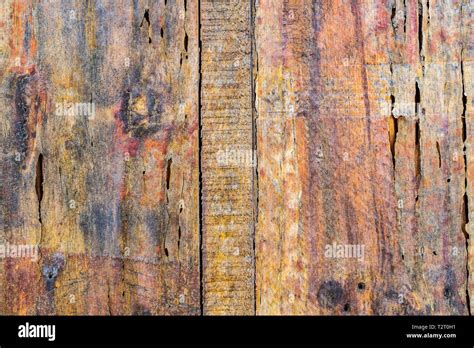 Wood Texture Background Natural Tree Stock Photo Alamy