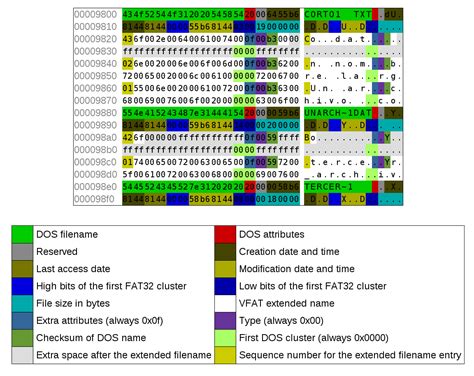 Operating System File System