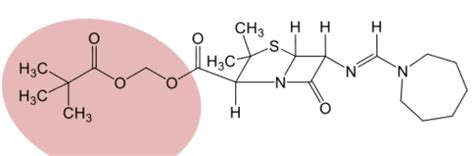 Monobactam Aztreonam Flashcards Quizlet