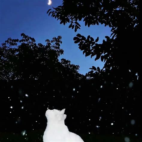 可爱女生 可爱美女图片大全 小清新美女图片 可爱女生头像 配图网