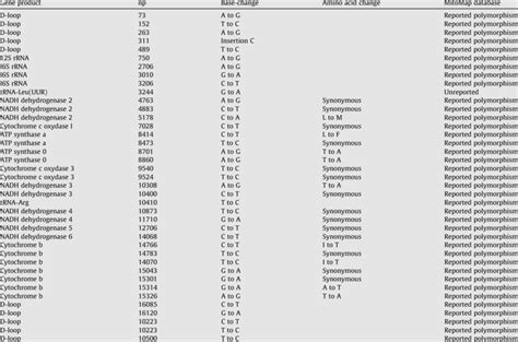 Mtdna Sequence Variants In Patient 1 Download Table