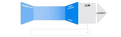 Multimodal Medical Ai