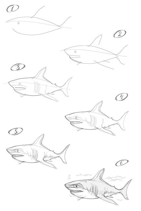 How To Draw A Sperm Whale With A Pencil Step By Step Tutorial Artofit