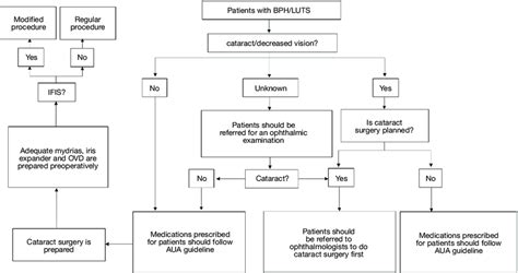 Flow Chart Recommended For Urologists And Ophthalmologists Bph Benign Download Scientific