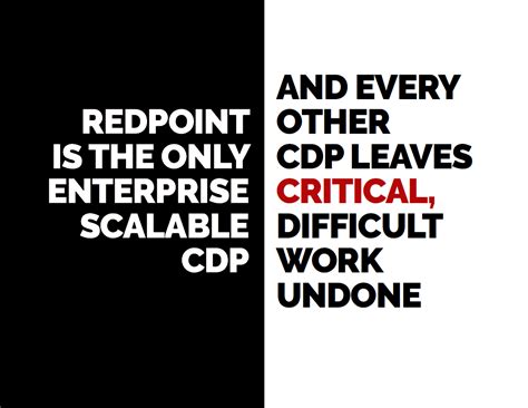 Redpoint Global Industry Leading Customer Data Platform Solution