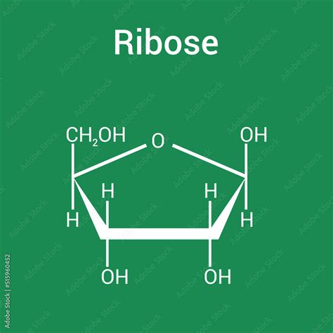 Chemical Structure Of Ribose C5h10o5 Stock Vector Adobe Stock
