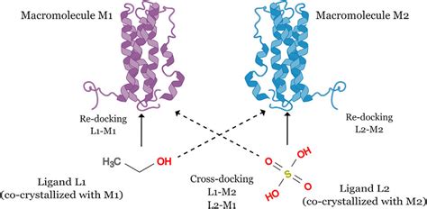 Re Docking And Cross Docking Representation Graphical Representation Download Scientific