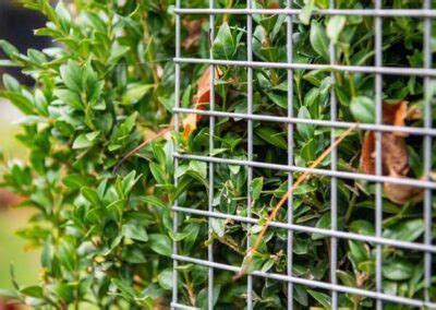 Rapid Hardware Group