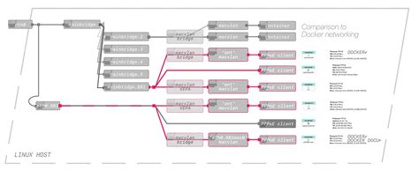 Set Up A Macvlan Interface In A With A Vlan Tag Network And