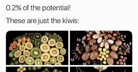 Wow Were Missing Out On So Much Album On Imgur