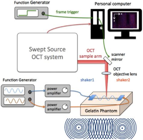 Simplified Schematic Of The Custom Built Crawling Wave Optical Download Scientific Diagram