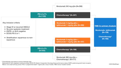 Aacr 2018 First Line Nivolumab Ipilimumab In Tmb High Nsclc