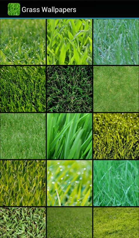 Grass Wallpapers Apk Para Android Descargar