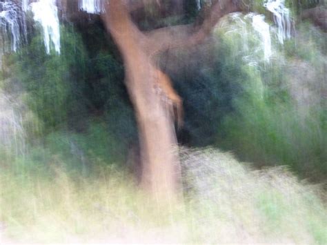 Okanda Devalaya Yala National Park All You Need To Know Before You Go Updated 2021 Yala