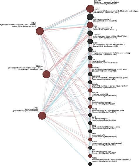 Network Connectivity Shows Functional Interaction Between Investigated Download Scientific