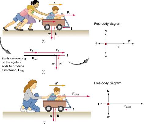 Newton S Third Law Free Body Diagram
