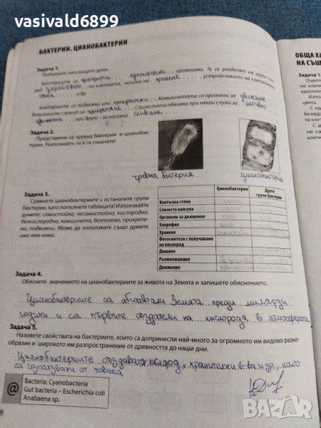 Тетрадка по биология и здравно образование за 7 клас в Ученически пособия канцеларски материали